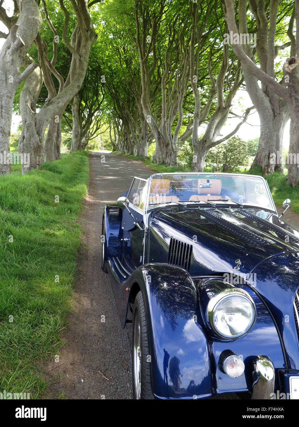 Dark hedges car hi-res stock photography and images - Alamy