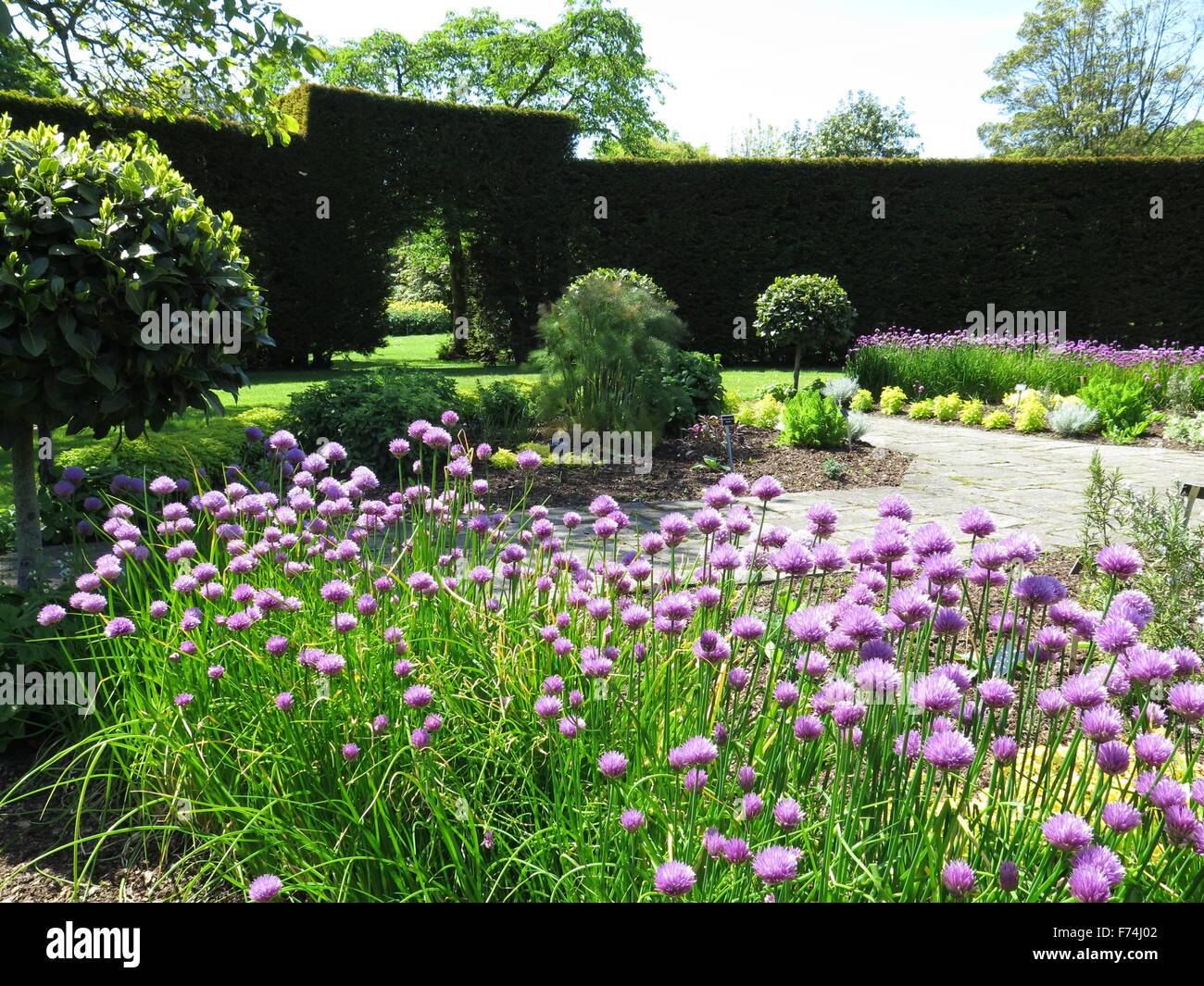 Walled garden antrim castle hi-res stock photography and images - Alamy