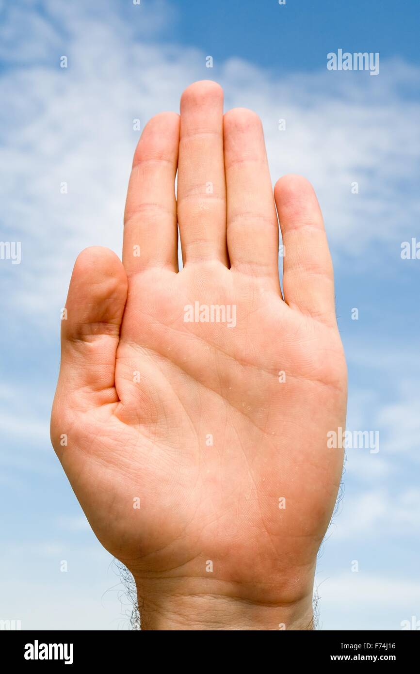Oath icon hi-res stock photography and images - Alamy