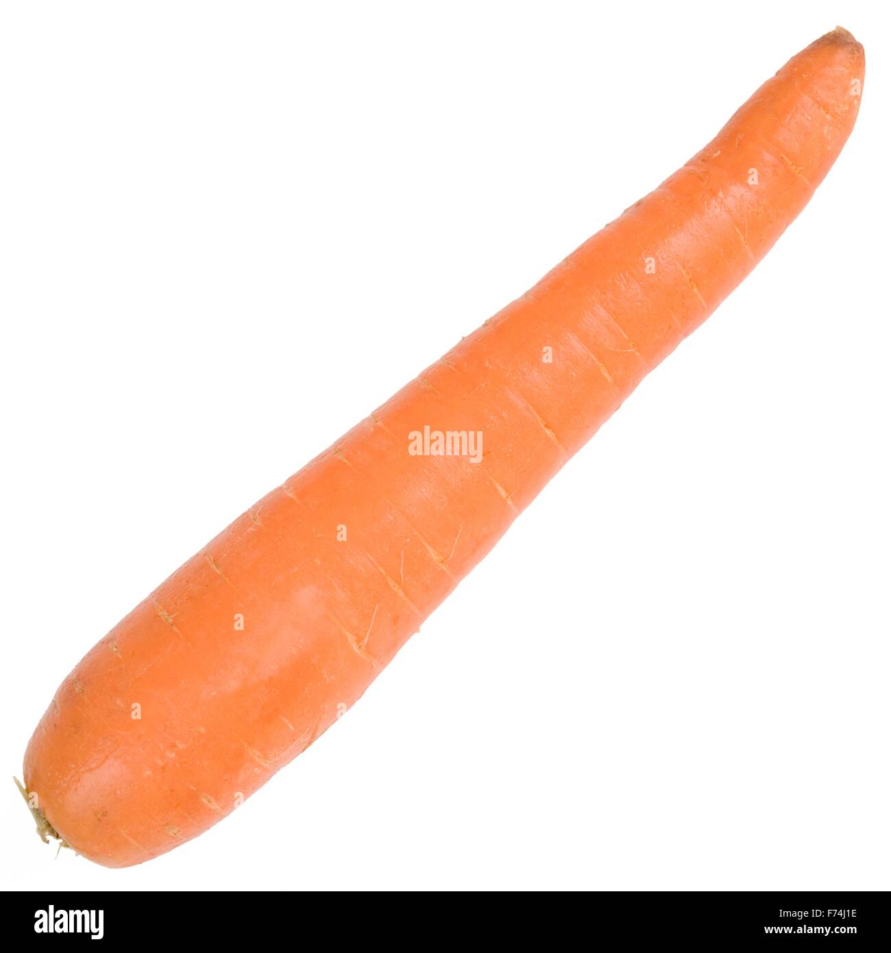 Single carrot garden hi-res stock photography and images - Alamy