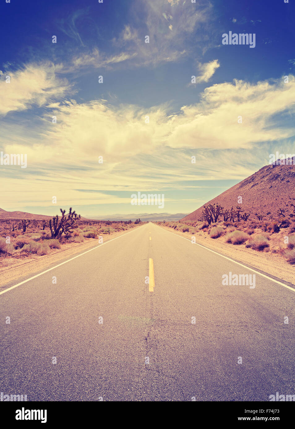 Highway of death hi-res stock photography and images - Alamy