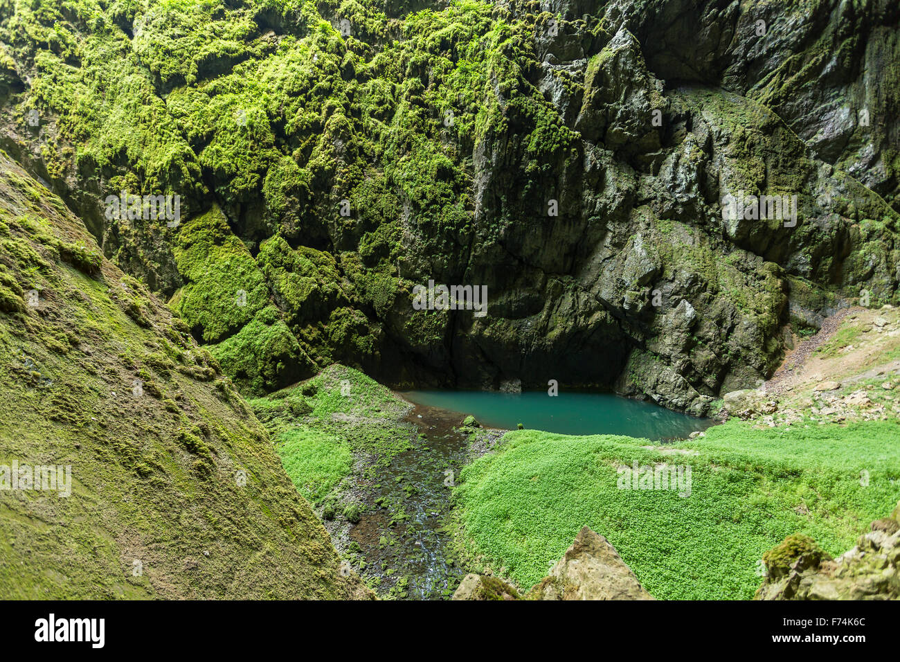 Macocha gorge hi-res stock photography and images - Alamy