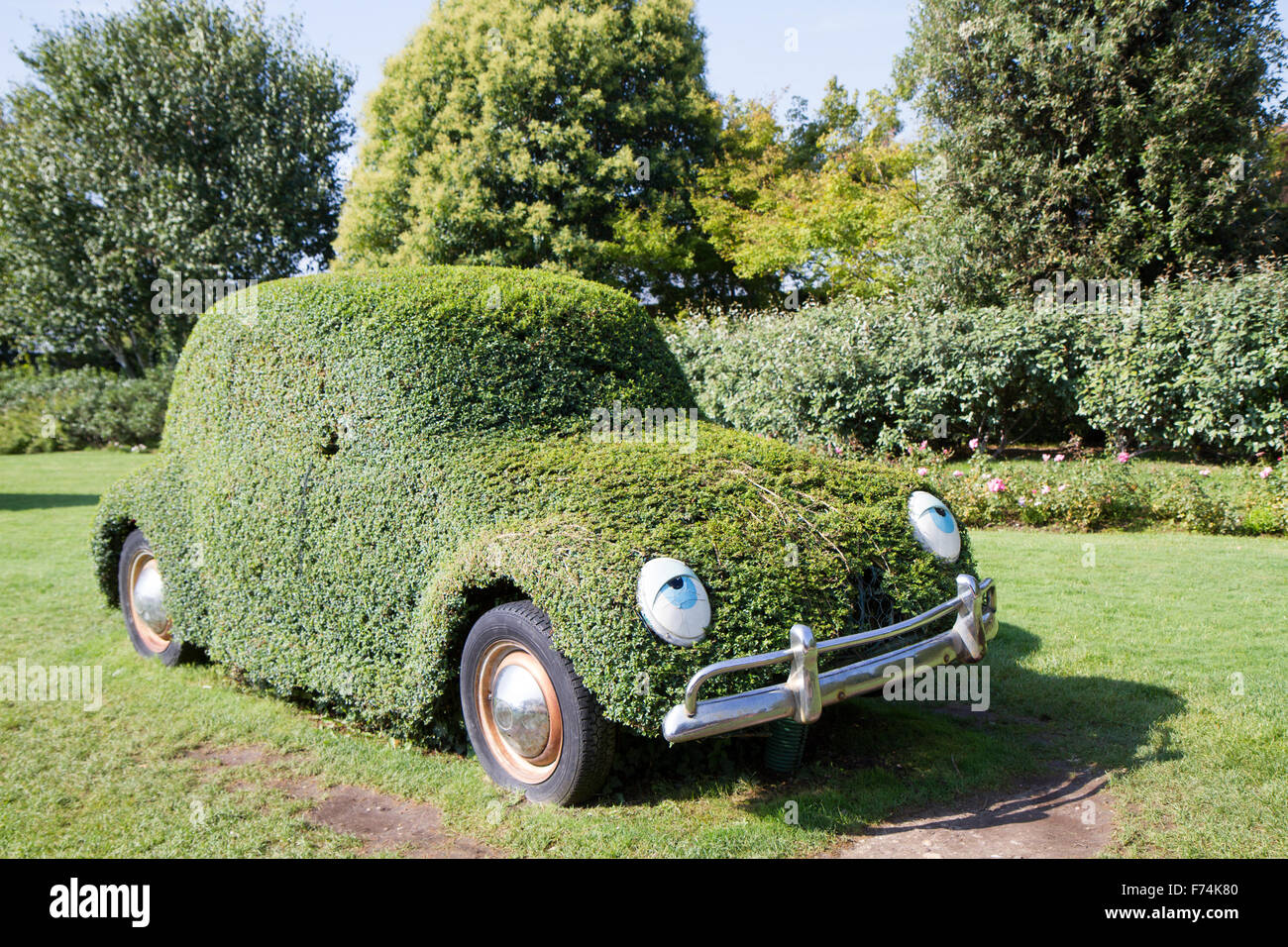 Car covered grass hi-res stock photography and images - Alamy