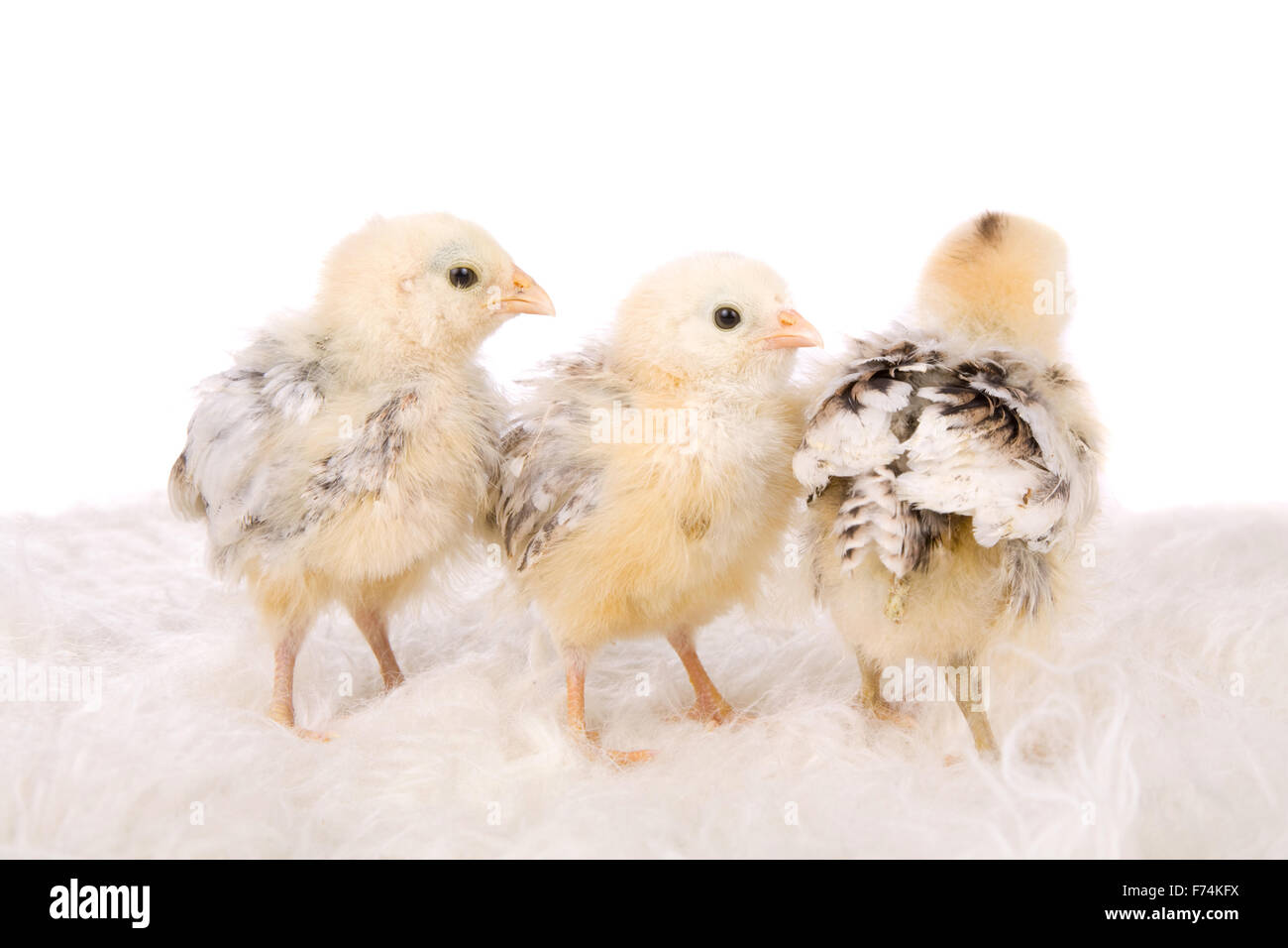 Looking the other way Stock Photo - Alamy