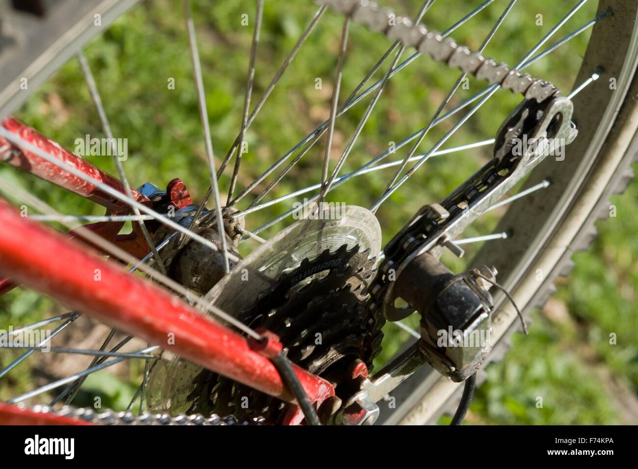 Cycle gear wheel hi-res stock photography and images - Alamy