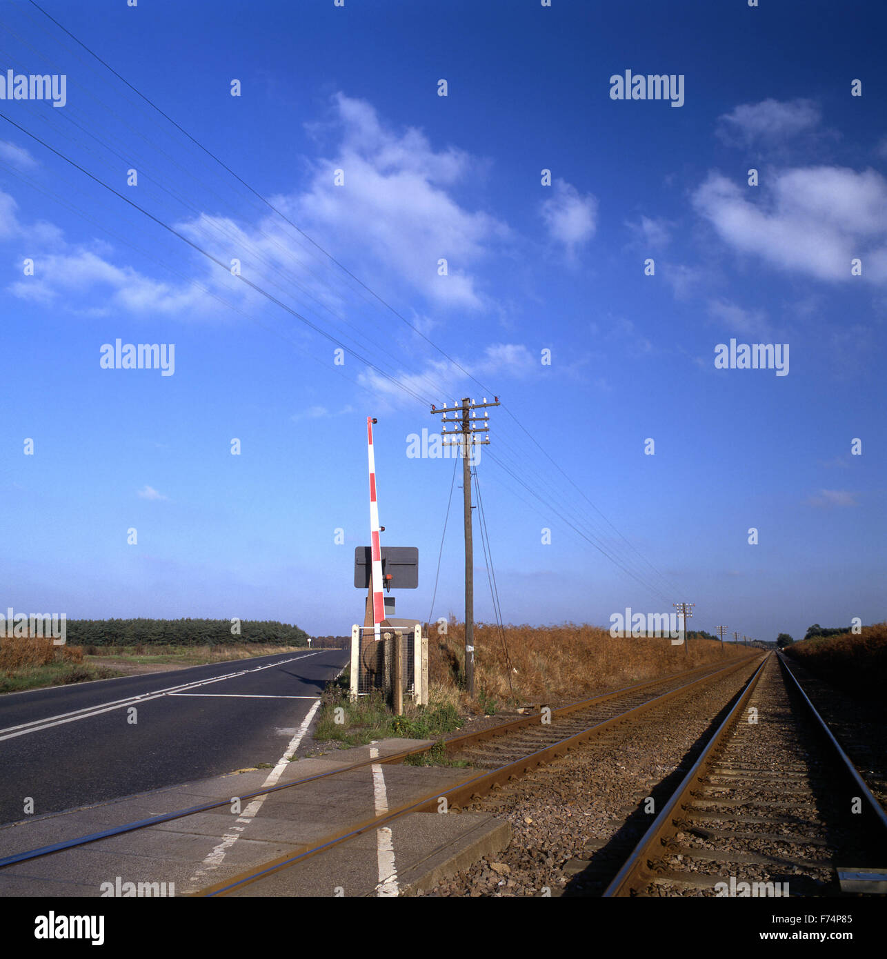 Old country railroad crossing hi-res stock photography and images - Alamy