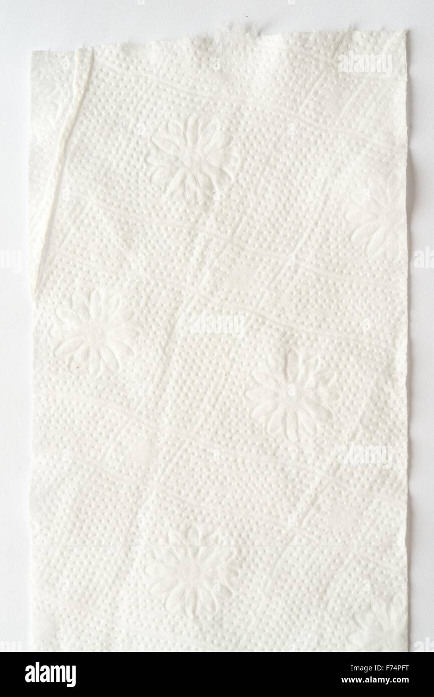 Toilet paper texture hi-res stock photography and images - Alamy