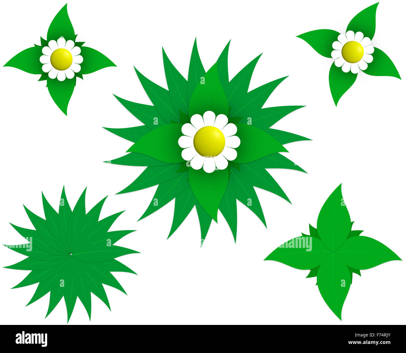 Tropical flower detail Cut Out Stock Images & Pictures - Alamy