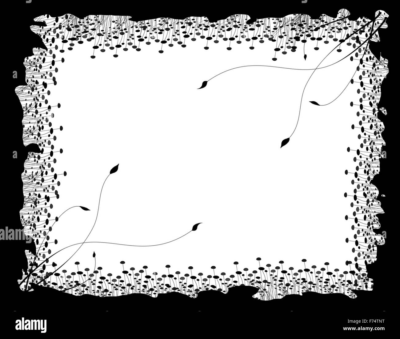 BLACK FLORAL FRAME Stock Photo - Alamy