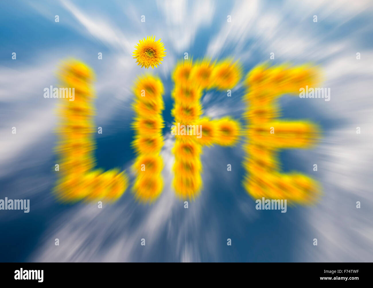 Tittle dot hi-res stock photography and images - Alamy
