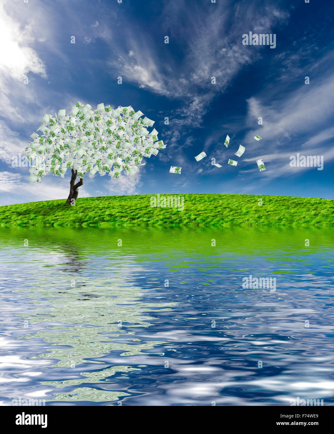 Cash tree with reflection Stock Photo - Alamy