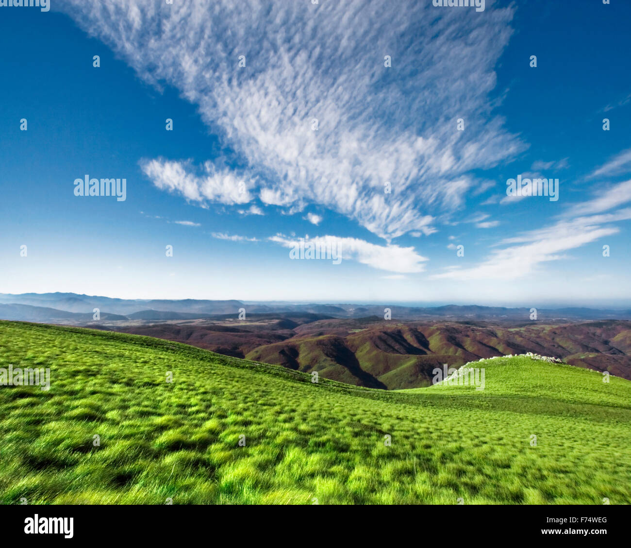 Greenery and blue sky Stock Photo - Alamy