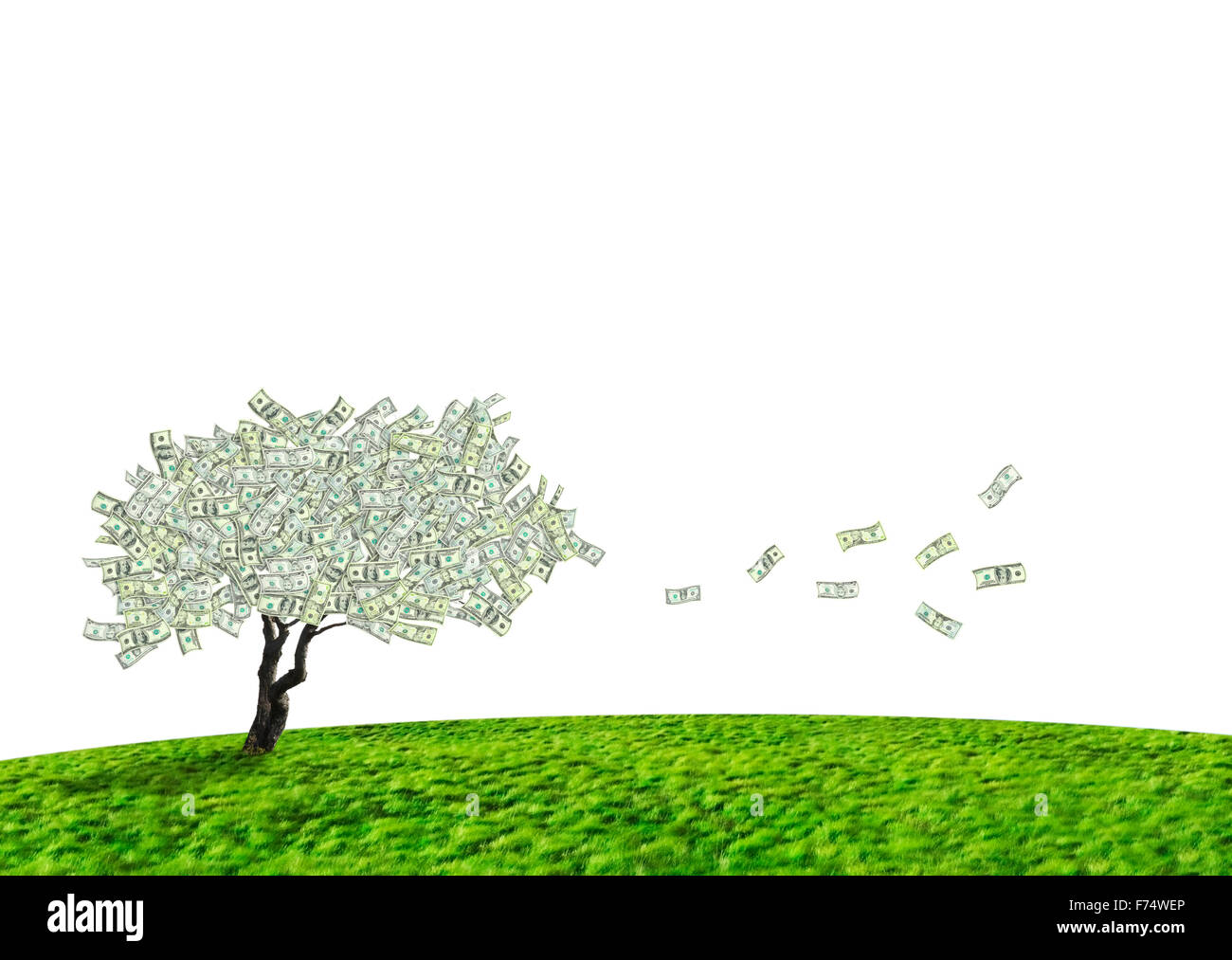 Cash tree hi-res stock photography and images - Alamy