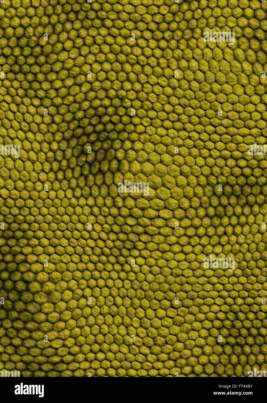 snakes texture green Stock Photo - Alamy