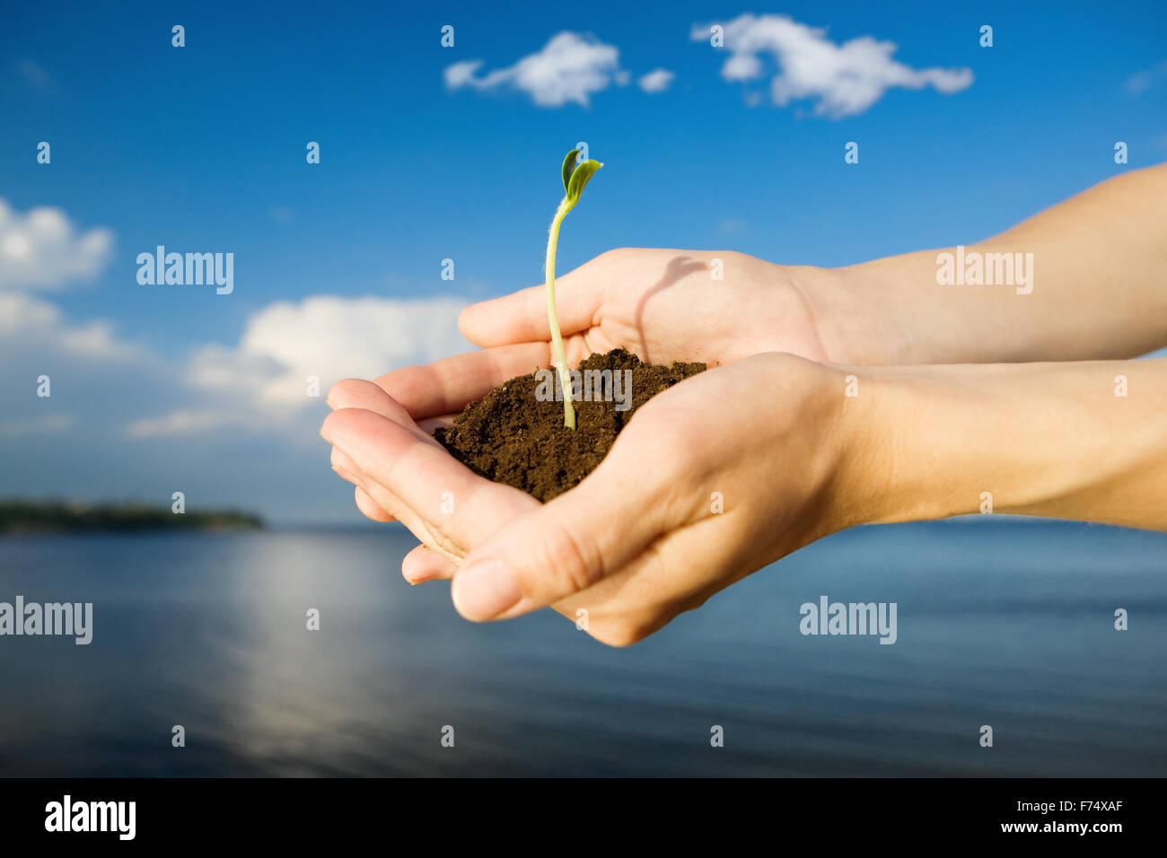 life in hands Stock Photo - Alamy