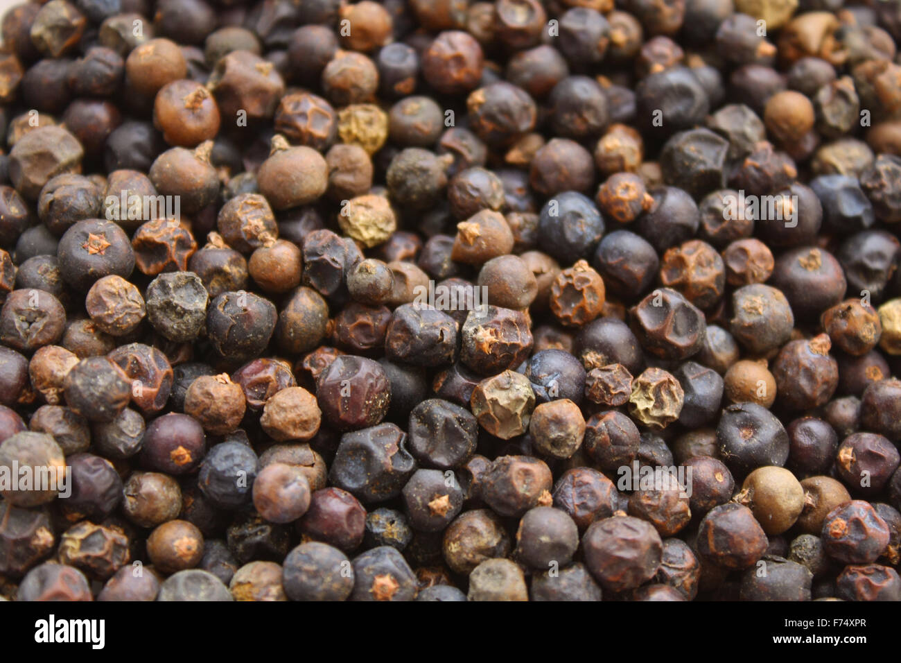 Dried juniper berries Stock Photo - Alamy