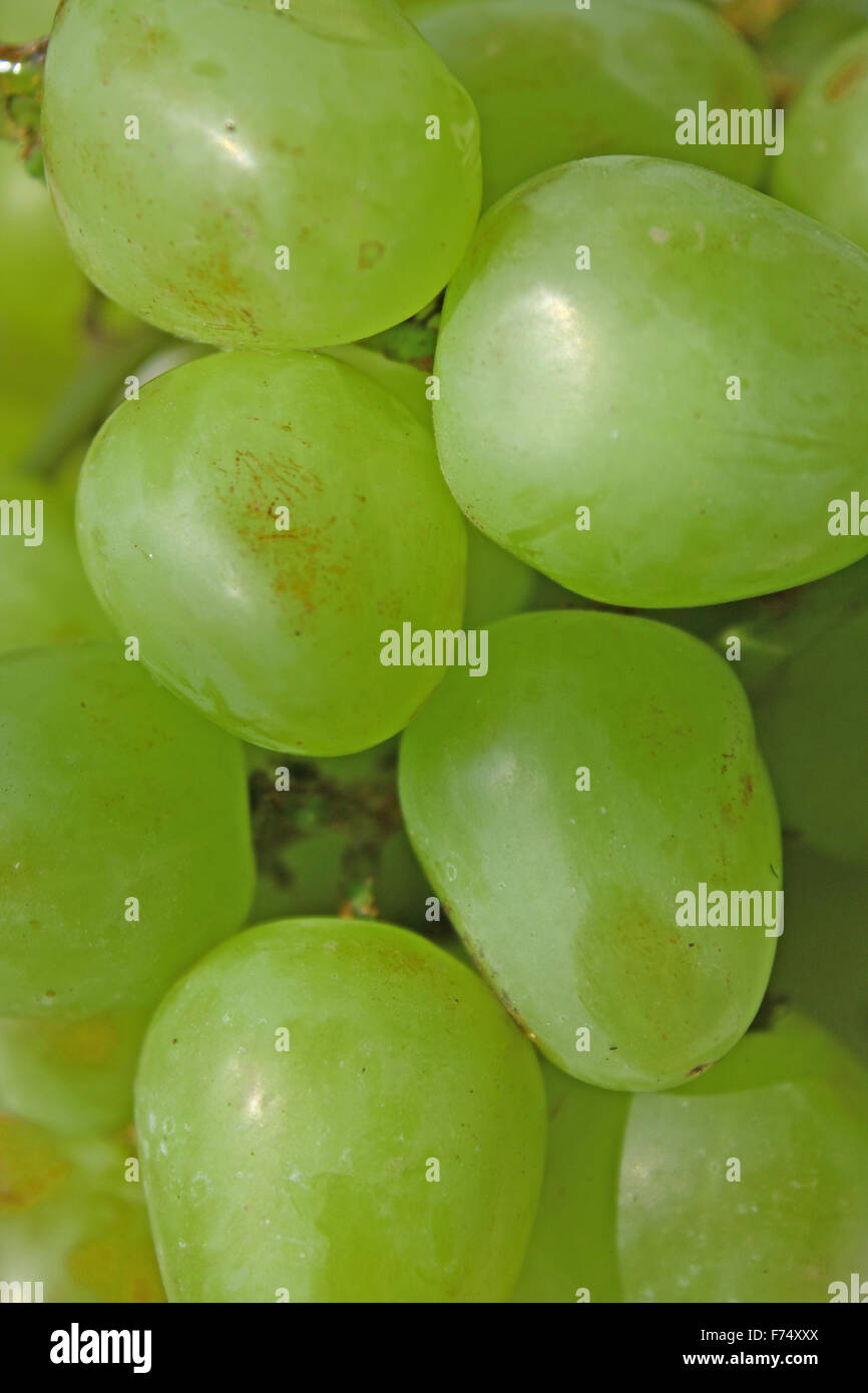 Juicy green color hi-res stock photography and images - Alamy