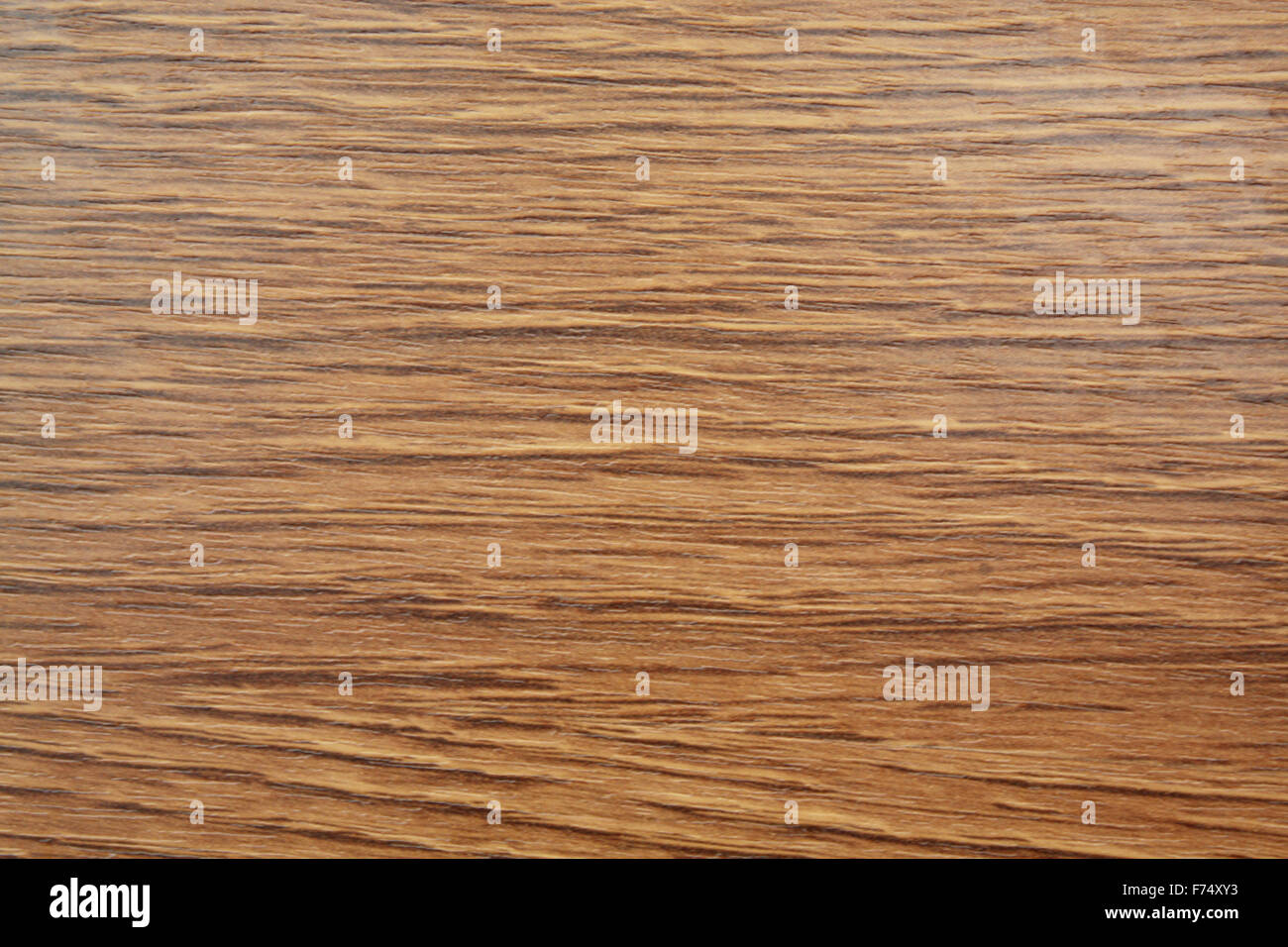 Walnut tree texture Stock Photo - Alamy