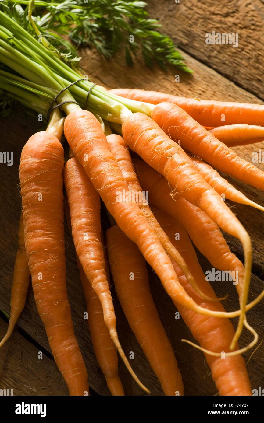 Bunch of carrots Stock Photo - Alamy