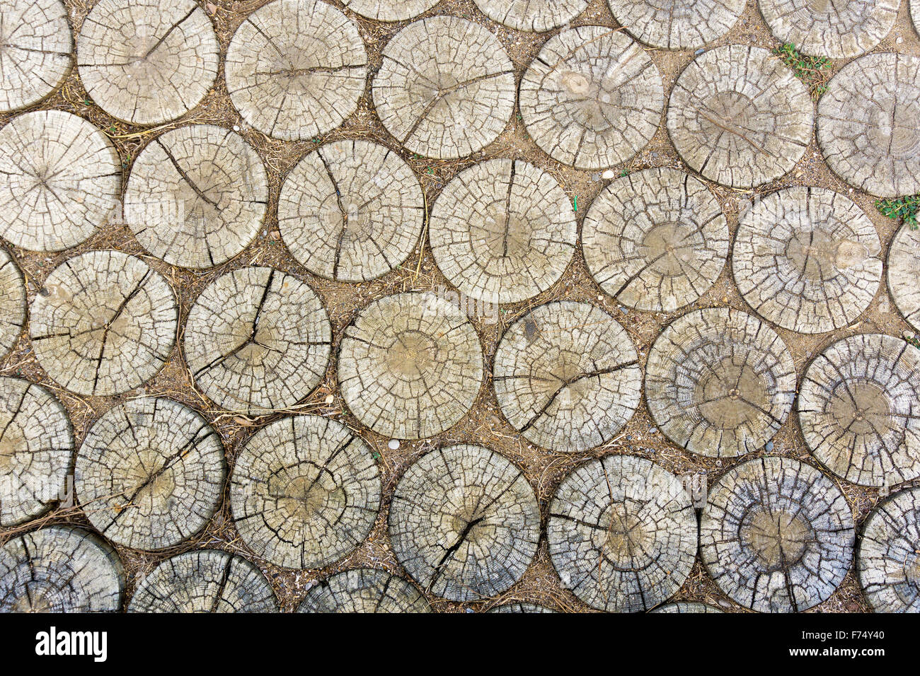 Decorative wood garden floors background with many logs on the ground ...