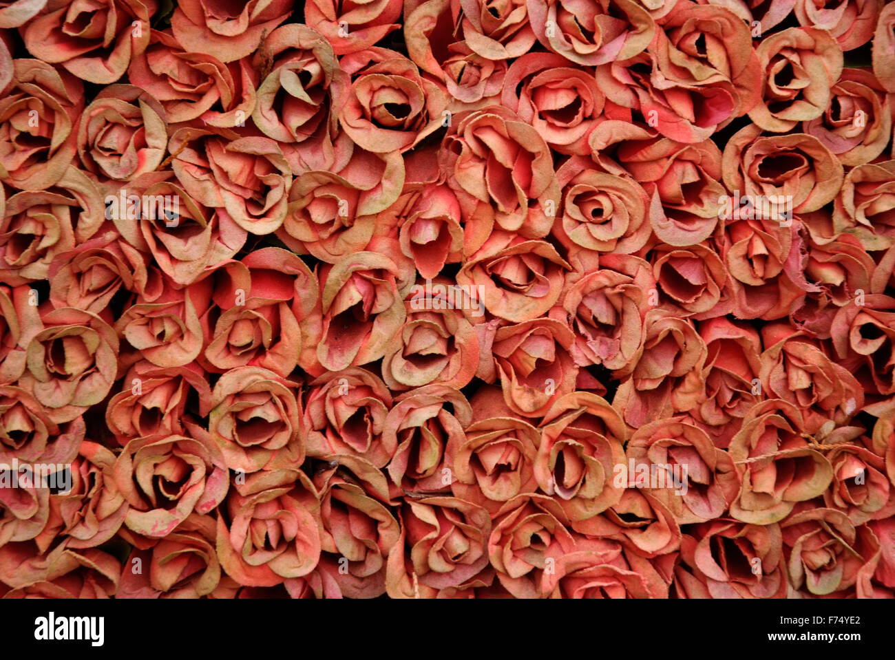 Rosey petals hi-res stock photography and images - Alamy