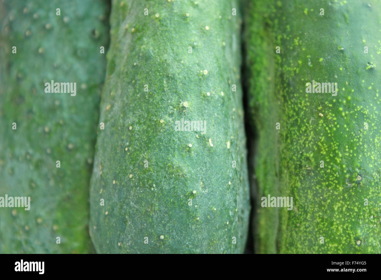 Vitamin cucumber hi-res stock photography and images - Alamy
