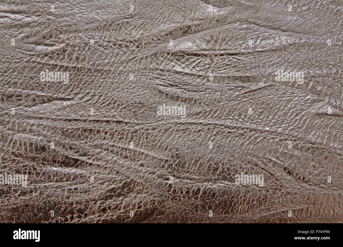 Shiny brown color hi-res stock photography and images - Alamy