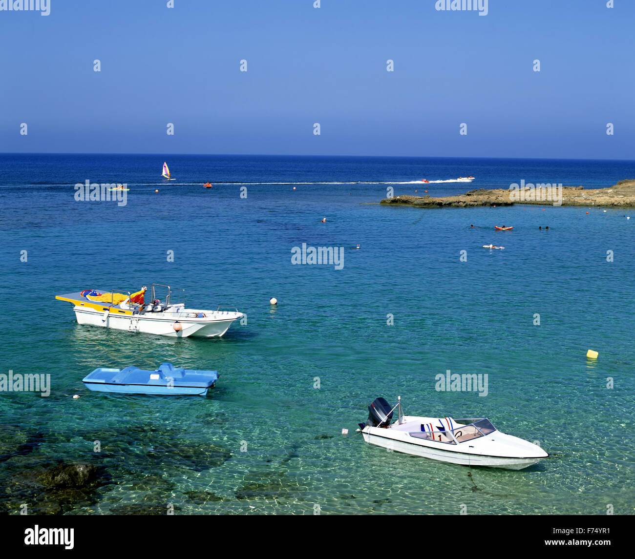 Fig Tree Bay Stock Photo - Alamy