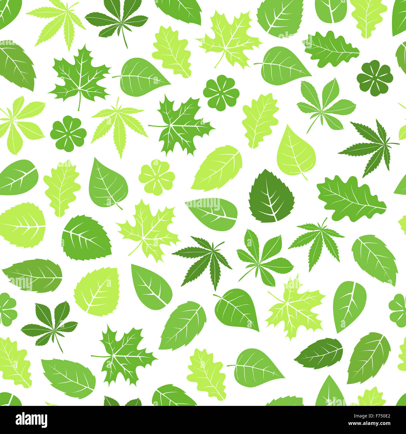 Seamless green leaves pattern background Stock Photo - Alamy