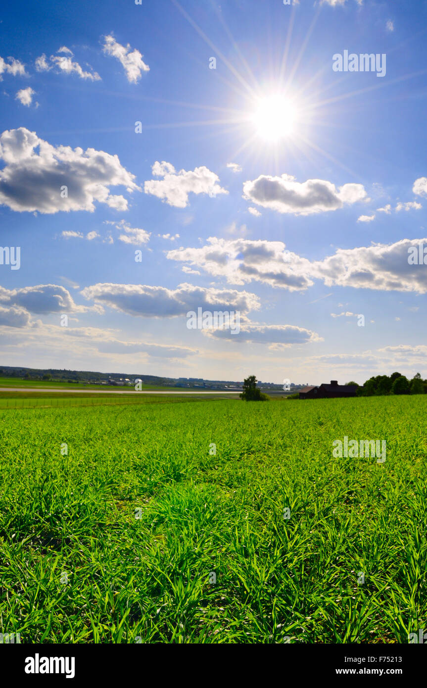 Under the sun Stock Photo - Alamy