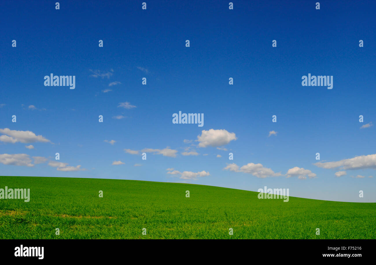 Field and sky Stock Photo - Alamy