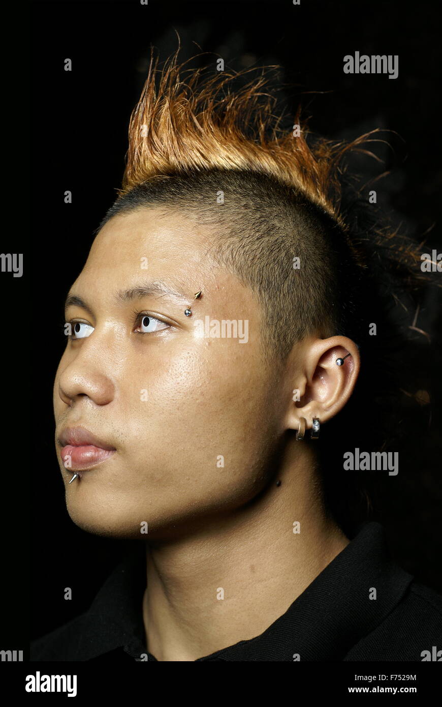 Mohawk hair hi-res stock photography and images - Alamy