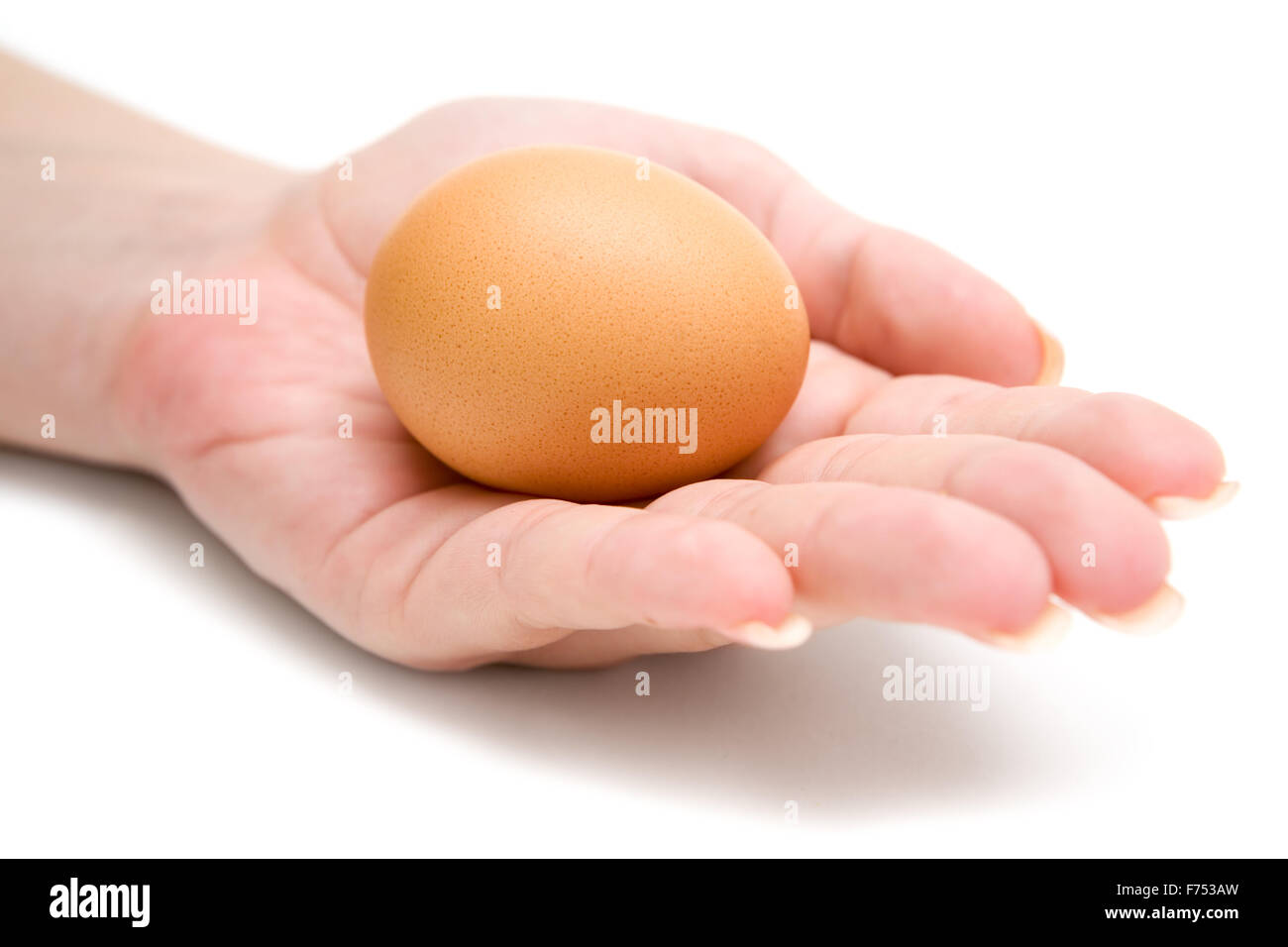 Egg in Hand Stock Photo - Alamy