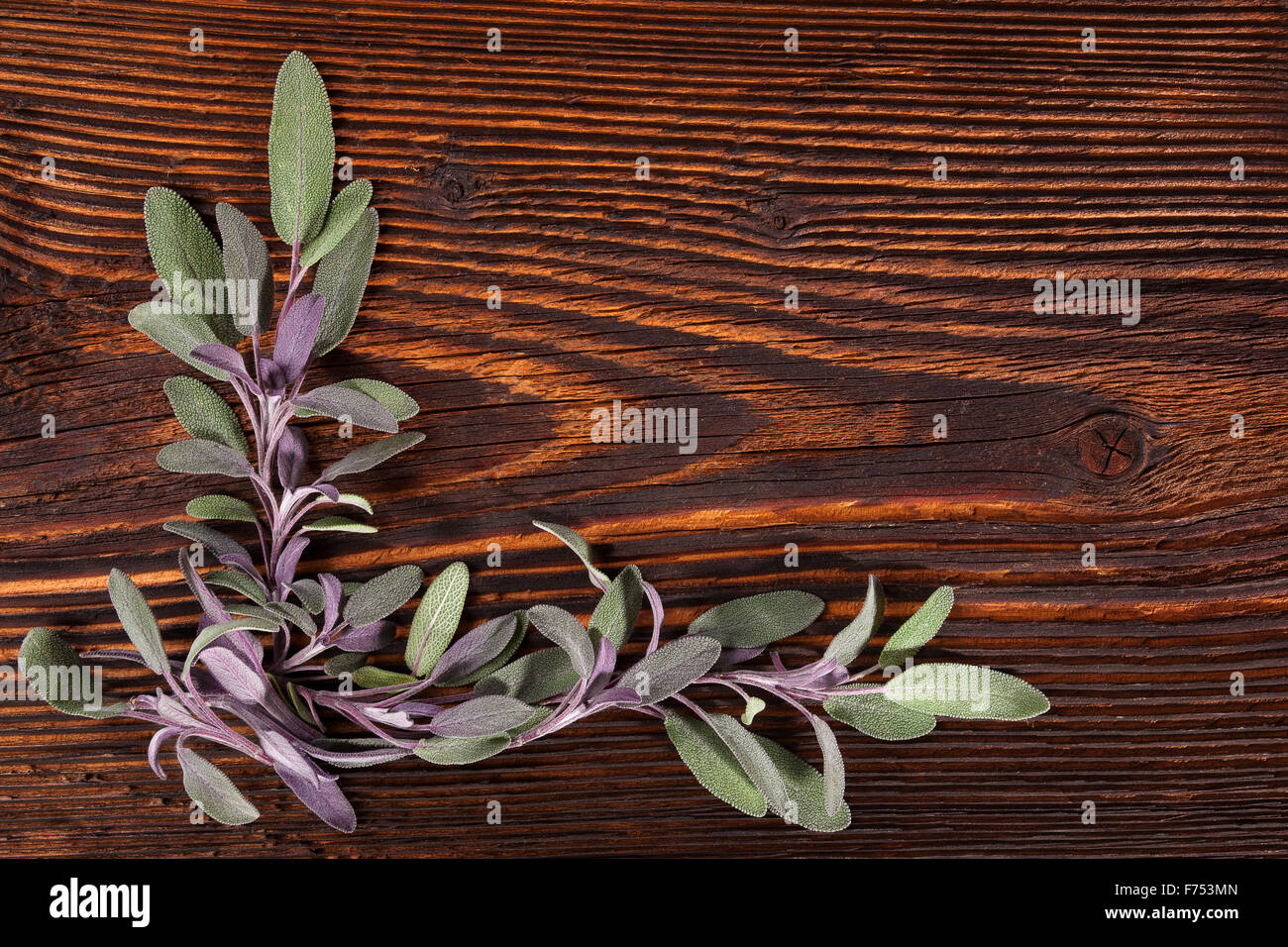 Sage herb on brown wooden rustic background with copy space ...