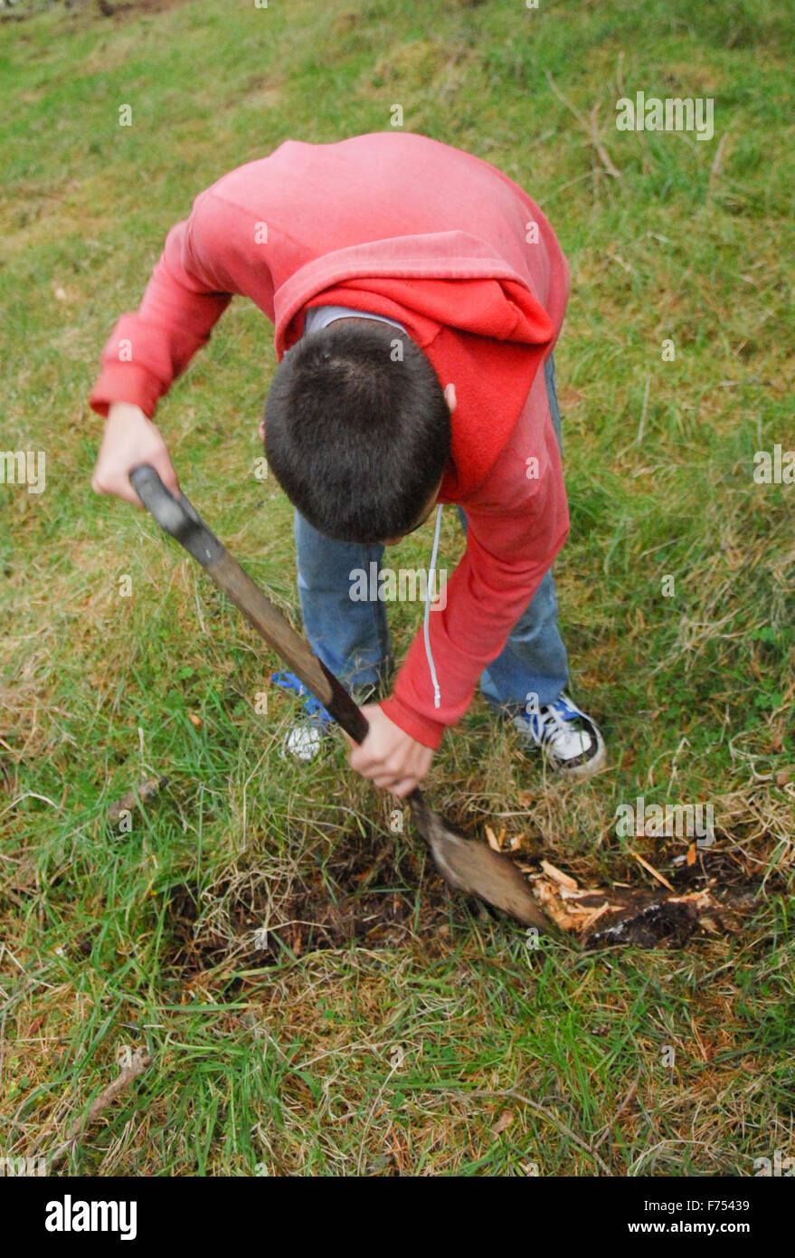Teenage boy with shovel digging in the forest Stock Photo - Alamy