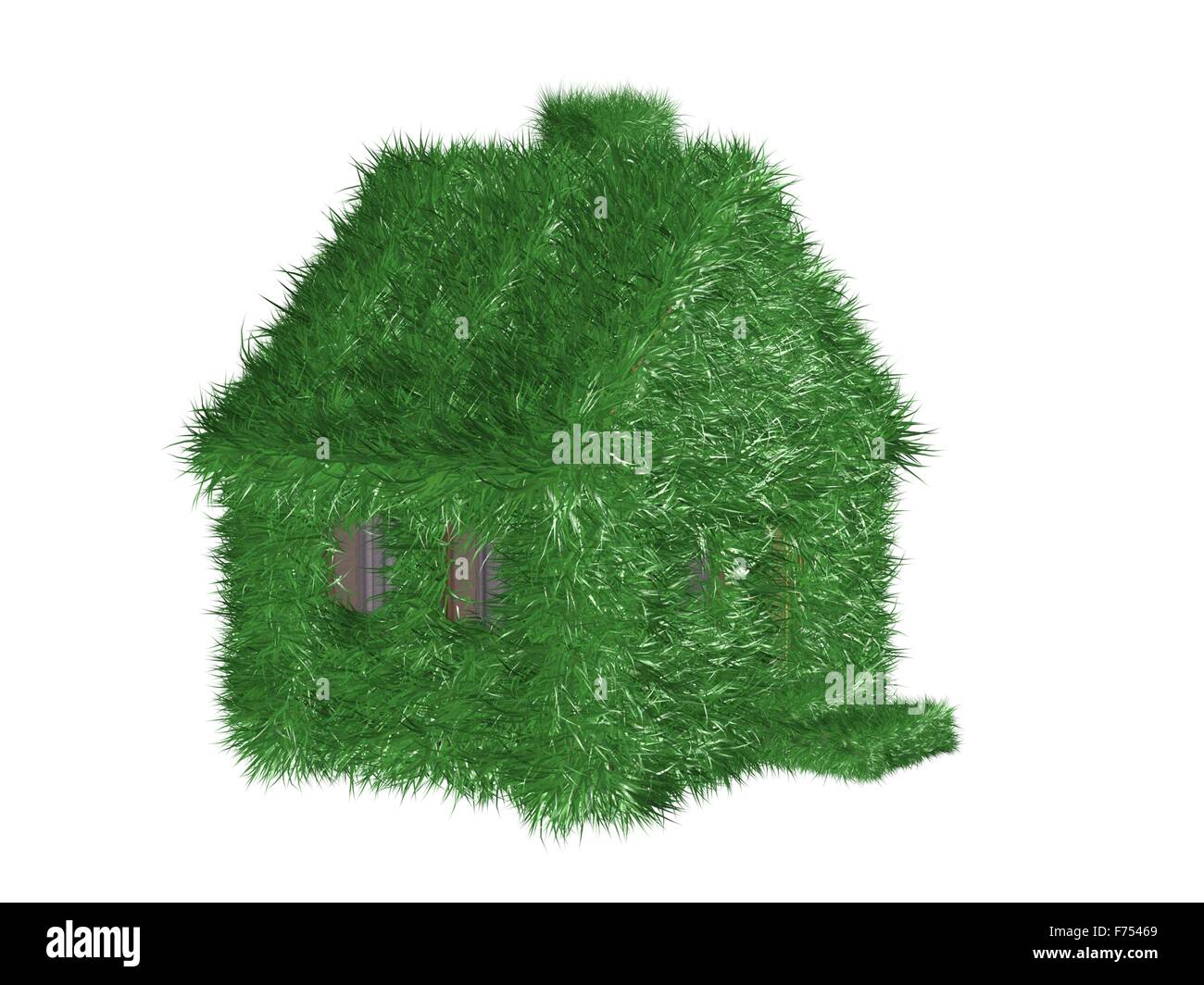 House with grass roof Cut Out Stock Images & Pictures - Alamy