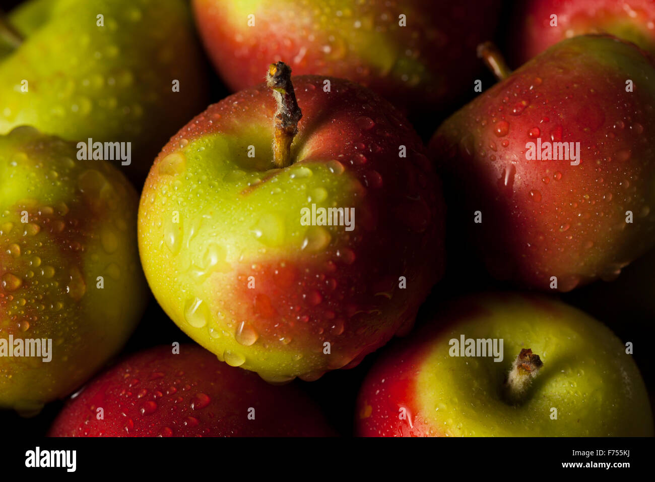Raw Organic Lady Apples for the Holidays Stock Photo - Alamy