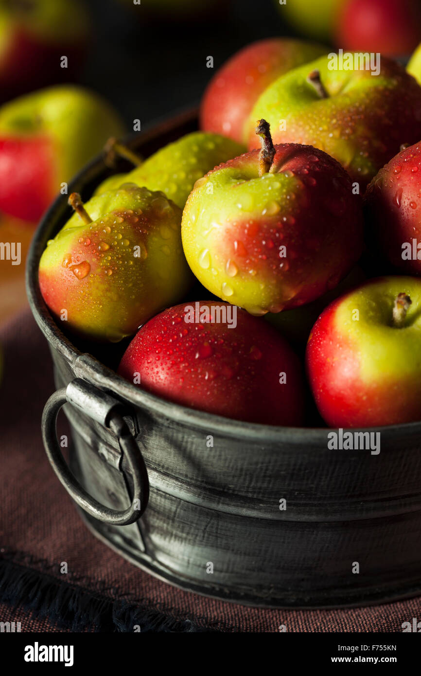 Raw Organic Lady Apples for the Holidays Stock Photo - Alamy