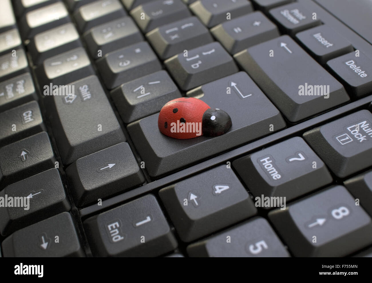 Buttons with ladybug hi-res stock photography and images - Alamy