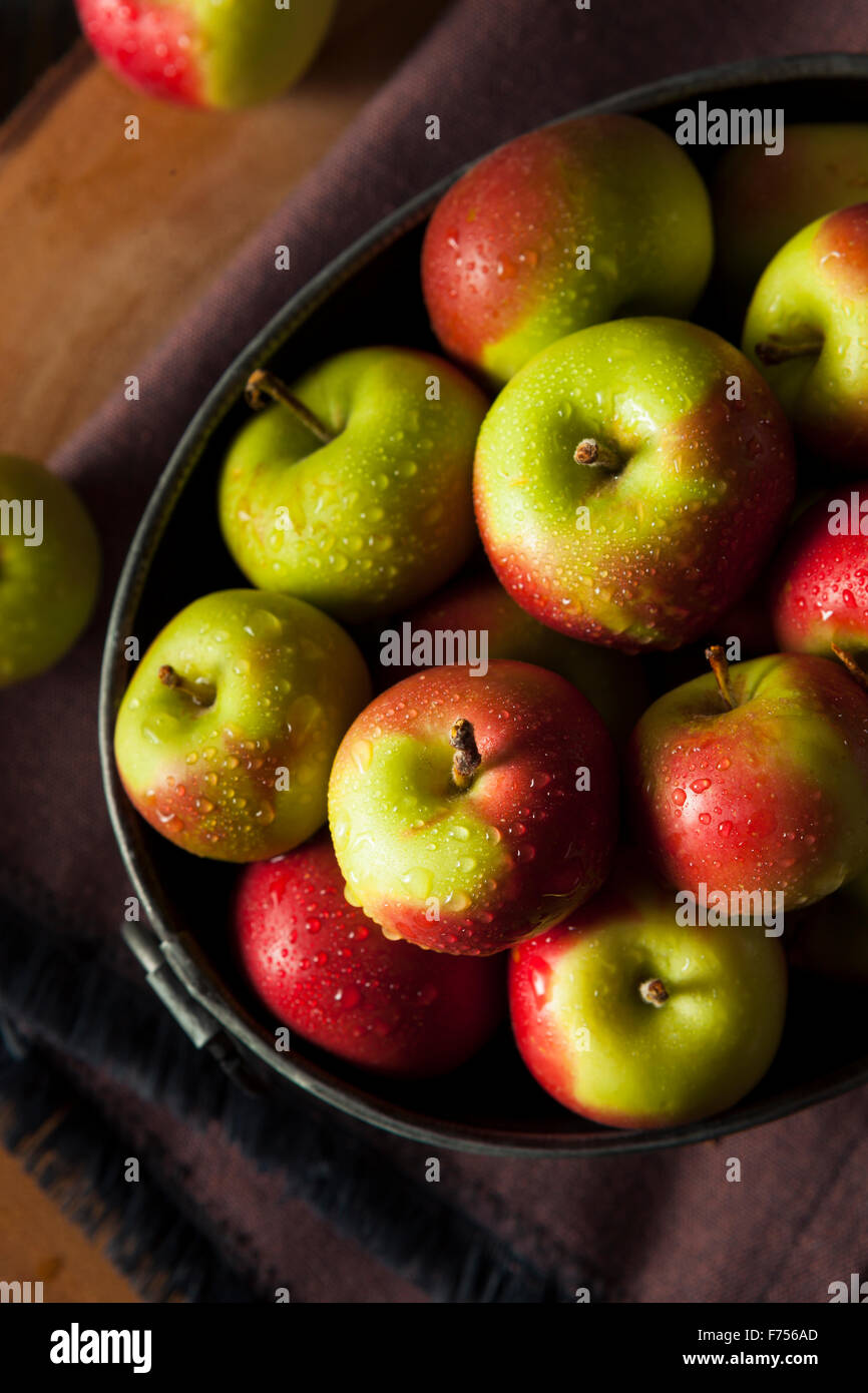 Raw Organic Lady Apples for the Holidays Stock Photo - Alamy
