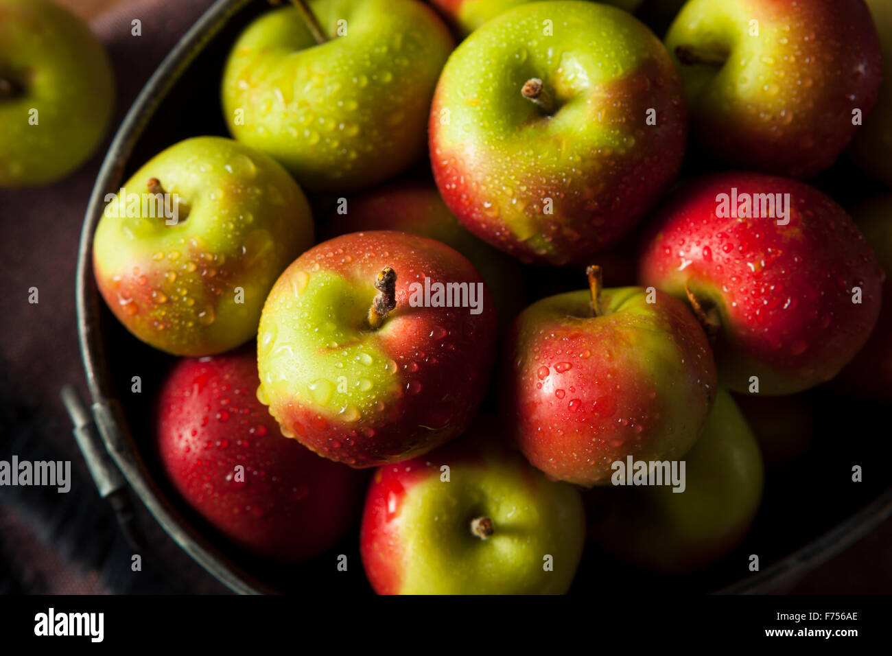 Raw Organic Lady Apples for the Holidays Stock Photo - Alamy