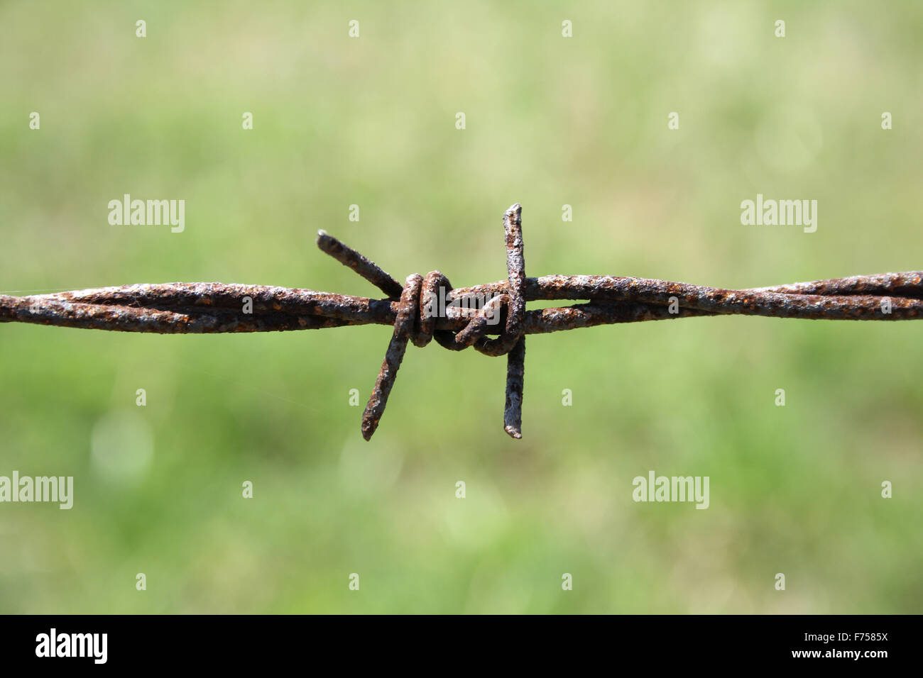 Barbed wire fence fencing hi-res stock photography and images - Alamy