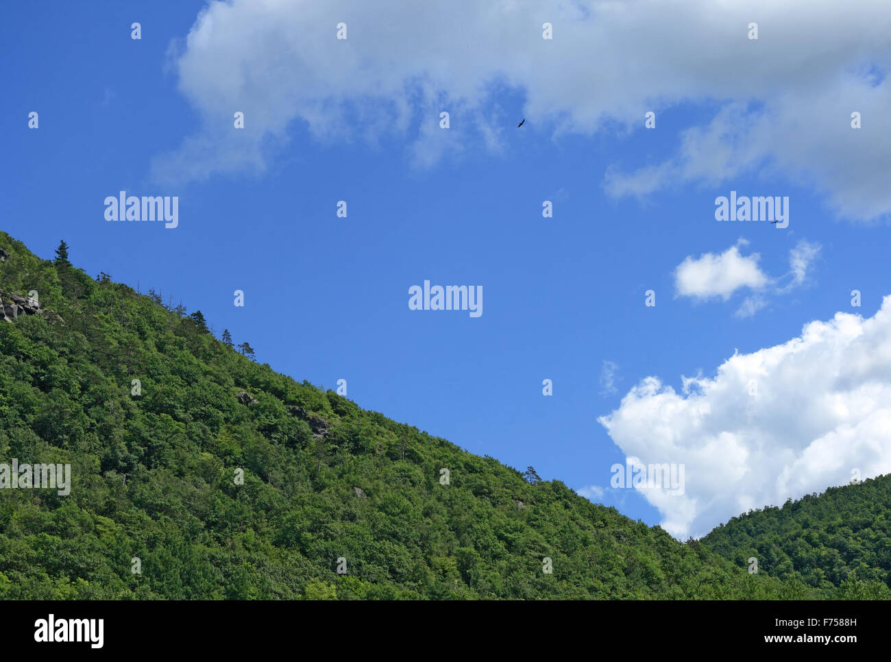 Green mountain slope Stock Photo - Alamy