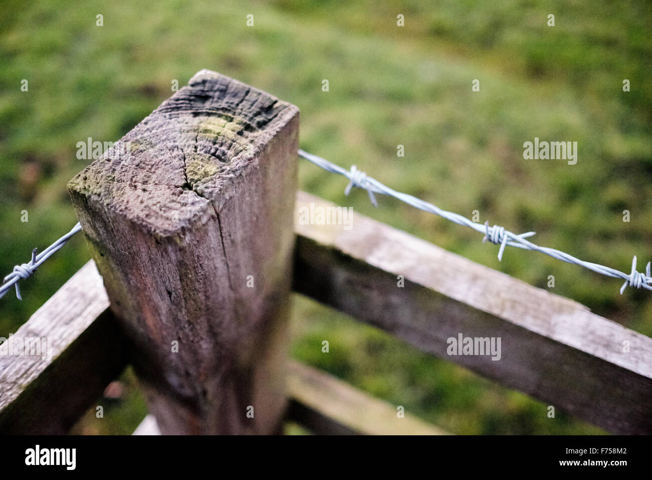 Corner fence post showing grain with barbed wire Stock Photo - Alamy