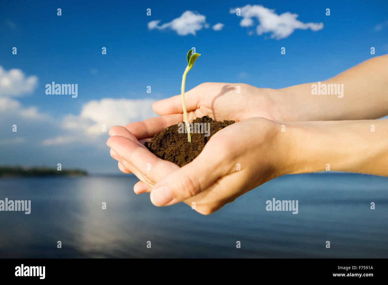 life in hands Stock Photo - Alamy