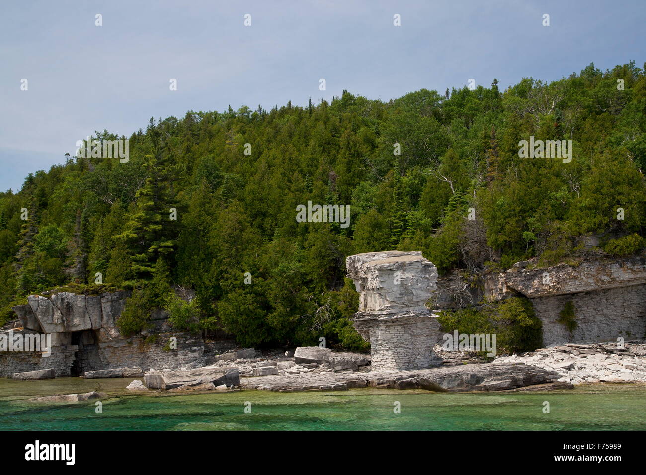 Eroded Limestone pinnacles - the flowerpots - on Flowerpot Island ...
