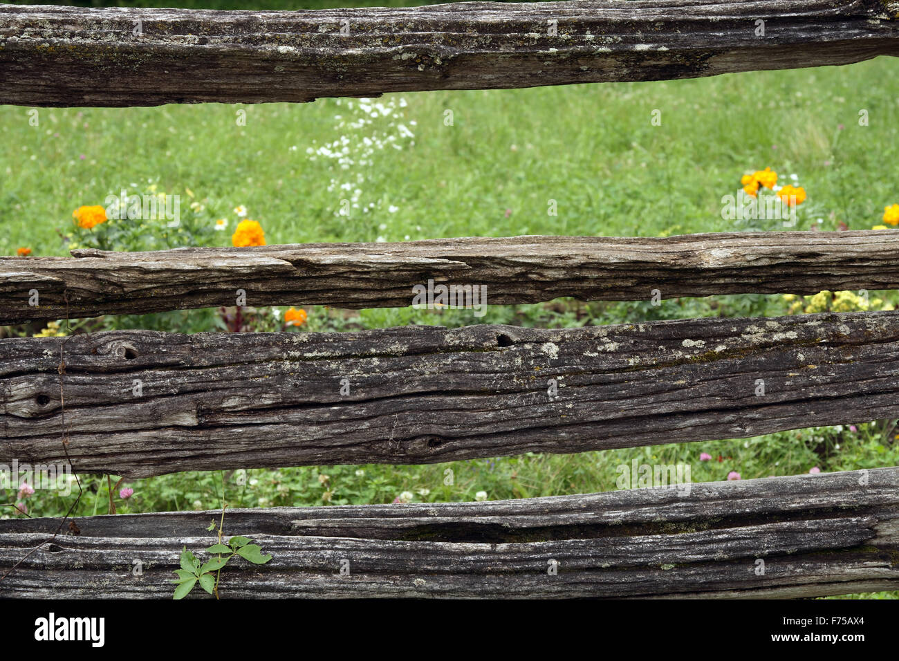 Very old rustic fence Stock Photo - Alamy