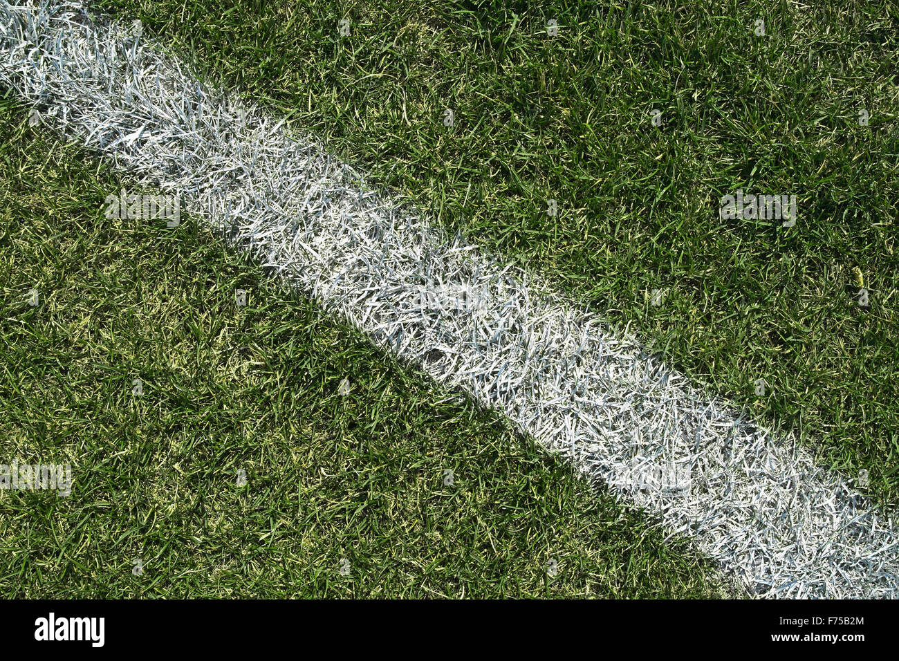 White boundary line of a playing field Stock Photo - Alamy