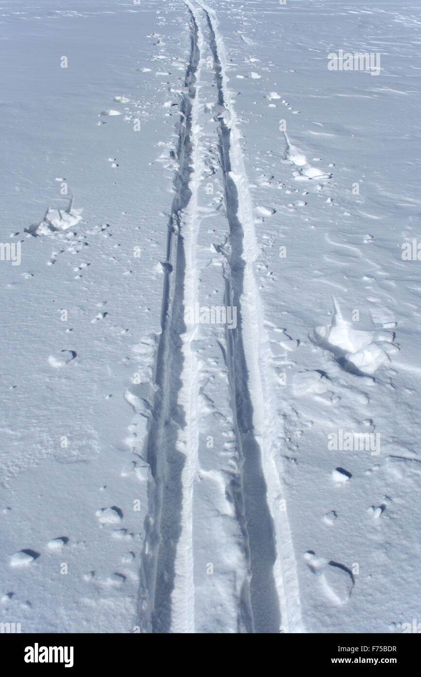 Ski tracks in the snow Stock Photo - Alamy