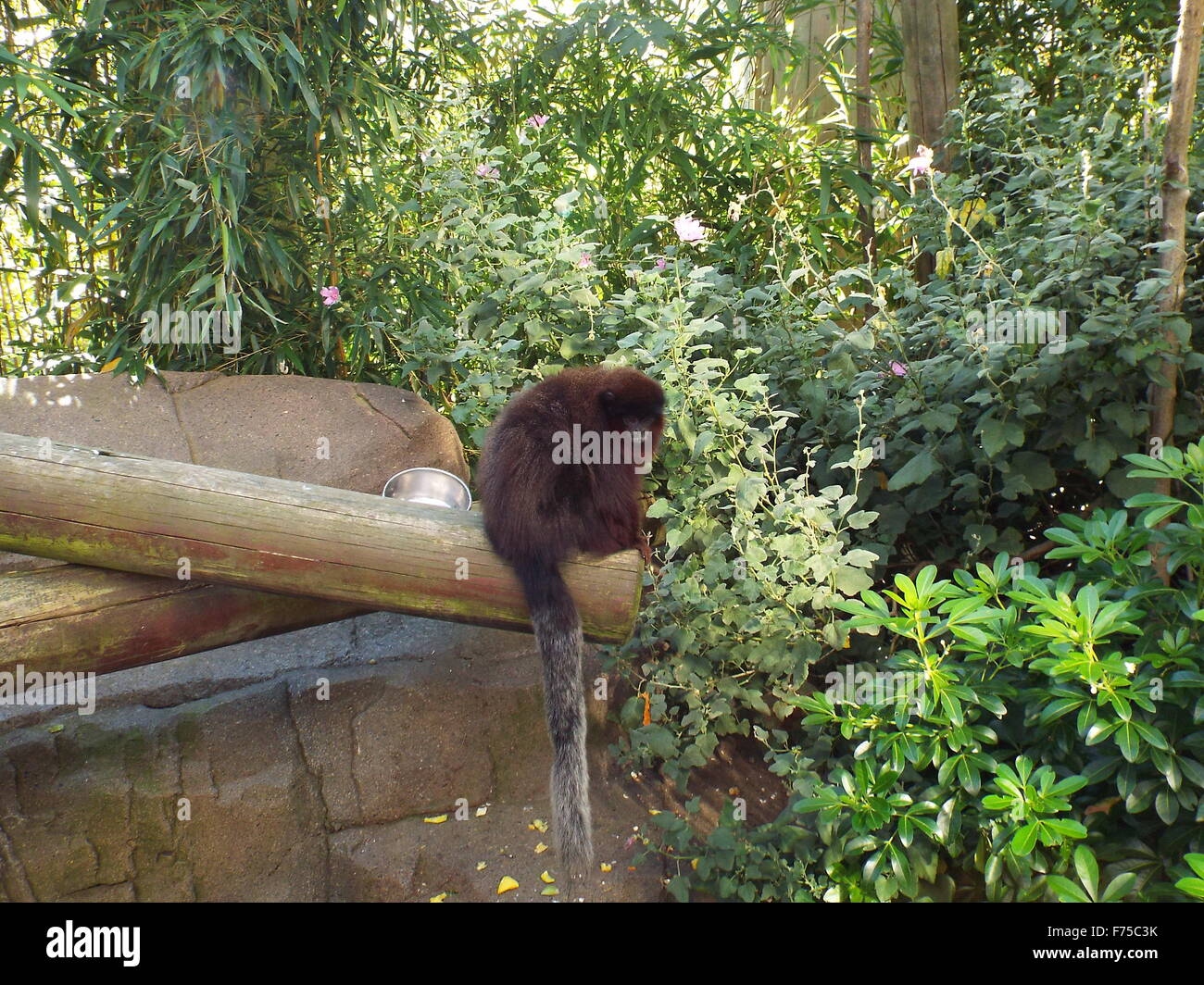 Back turned sitting hi-res stock photography and images - Alamy